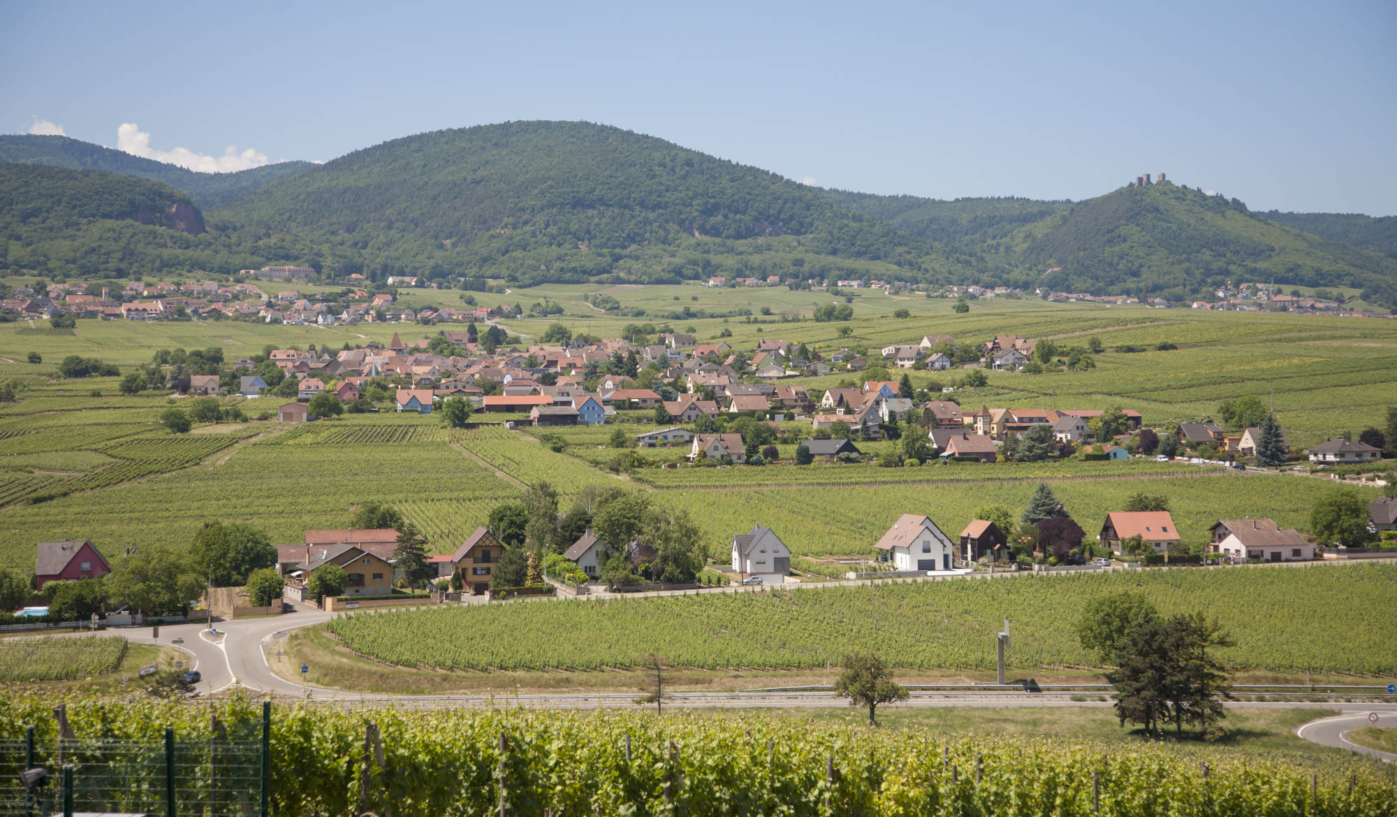 Découvrez les vins d’Alsace lors de votre séjour à Pfaffenheim - Grand ...